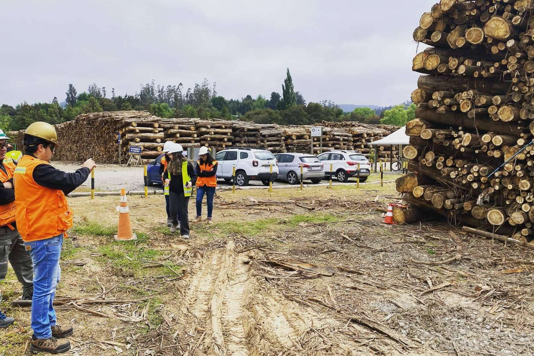 Soluciones tecnológicas para el control forestal a través de TTC ...